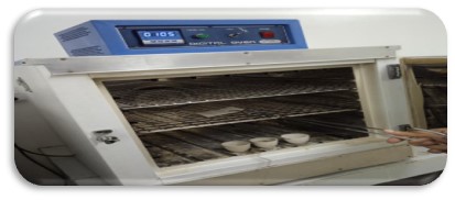 Nilar Pulp & Paper Co.,ltd