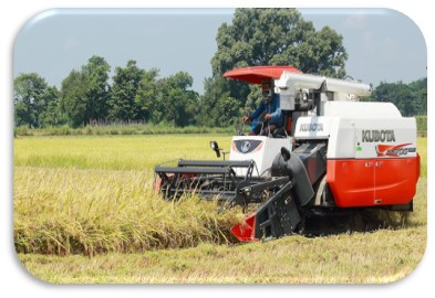 Nilar Pulp & Paper Co.,ltd