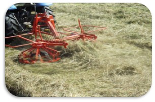 Nilar Pulp & Paper Co.,ltd