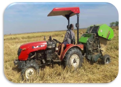 Nilar Pulp & Paper Co.,ltd