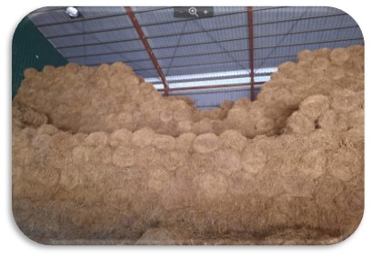 Nilar Pulp & Paper Co.,ltd